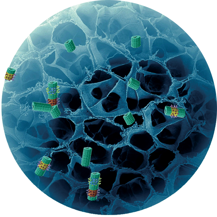 فناوری هیدروژل فعال - معرفی جامع فناوری از آینده